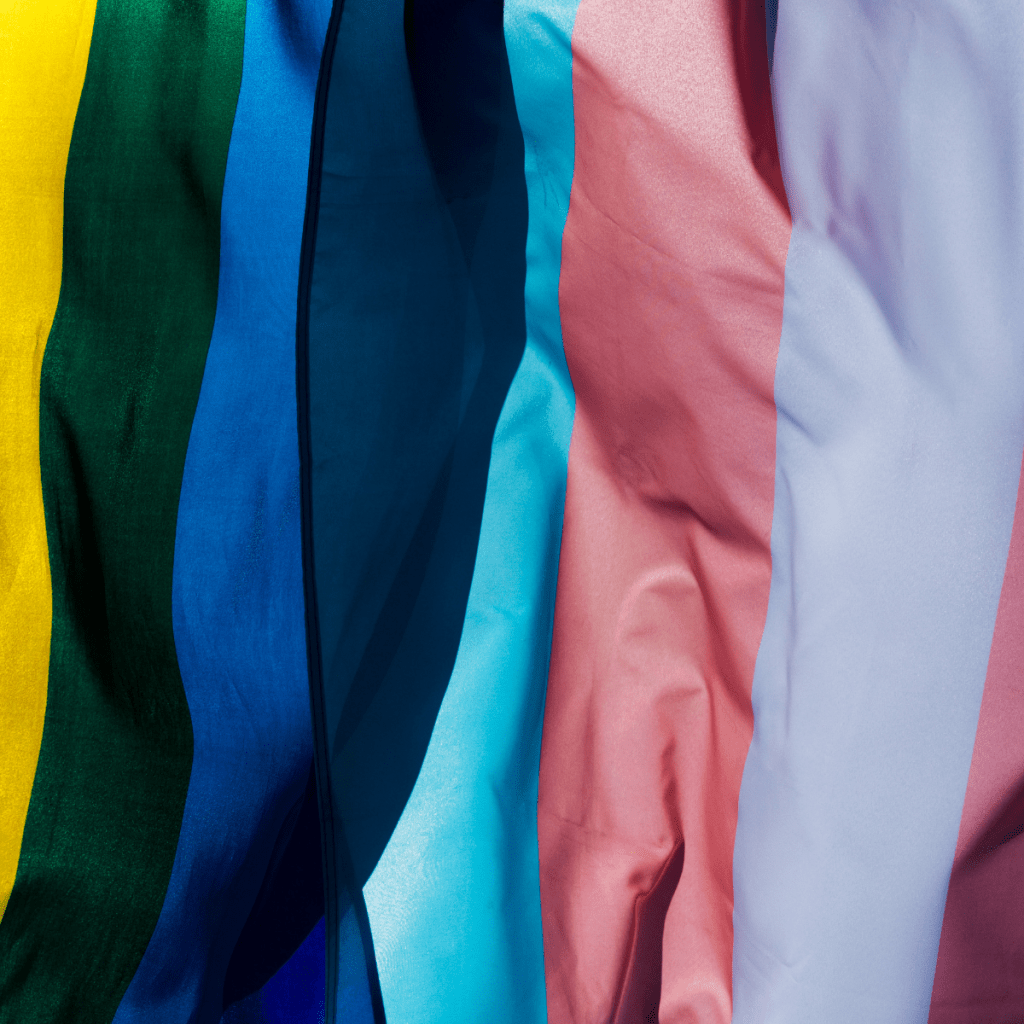 Taking Pride in Inclusive Language - the human i